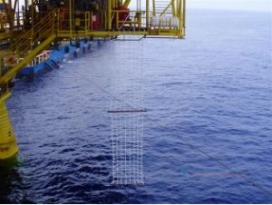 Scramble net - PTR Holland ® Group